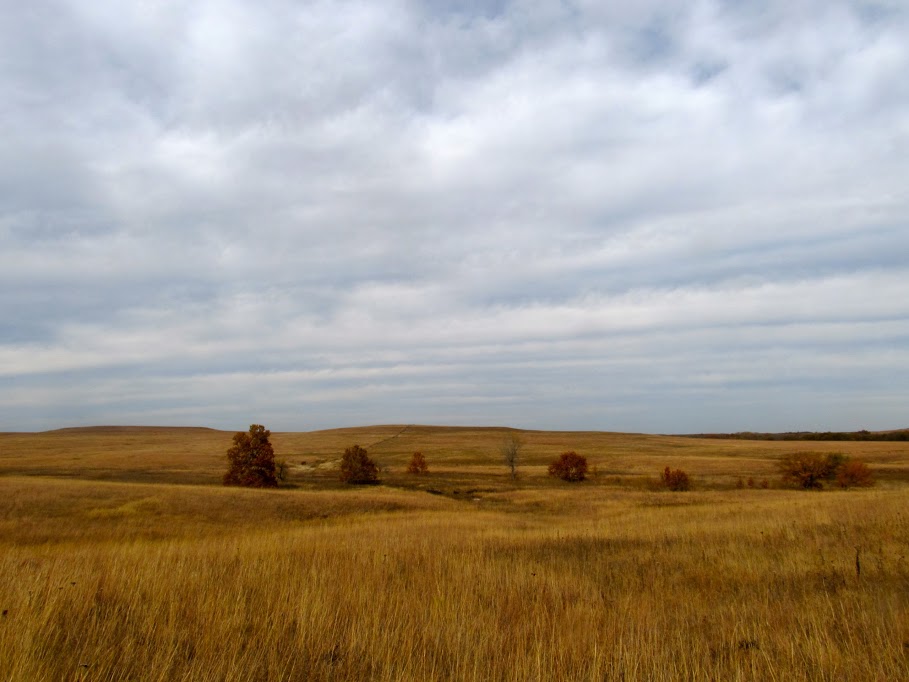 Tallgrass Prairie Preserve – Kansas Trail Guide