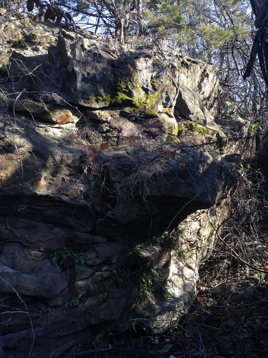 Trail Profile: South Mound Trails – Kansas Trail Guide